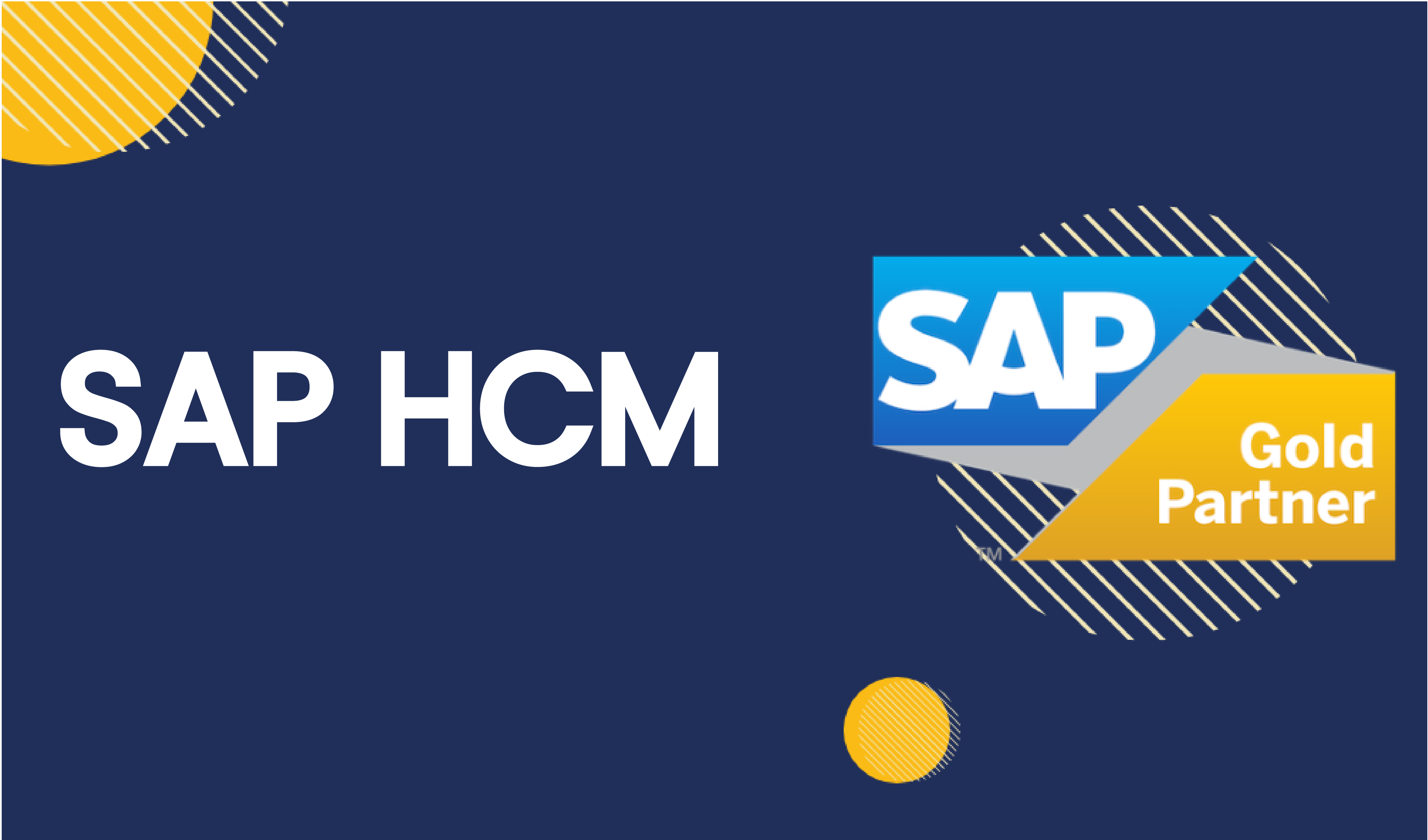SAP Training – PRIMUS SAP Academy